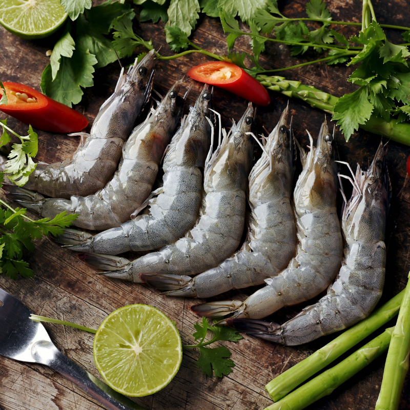 Live Frozen Raw Grey Prawns 1KG – Snow Treasures Singapore